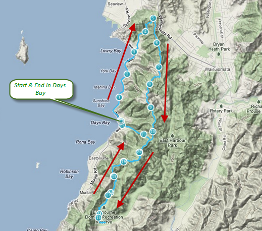 Mt Lowry Extreme Challenge event recap | 74 running